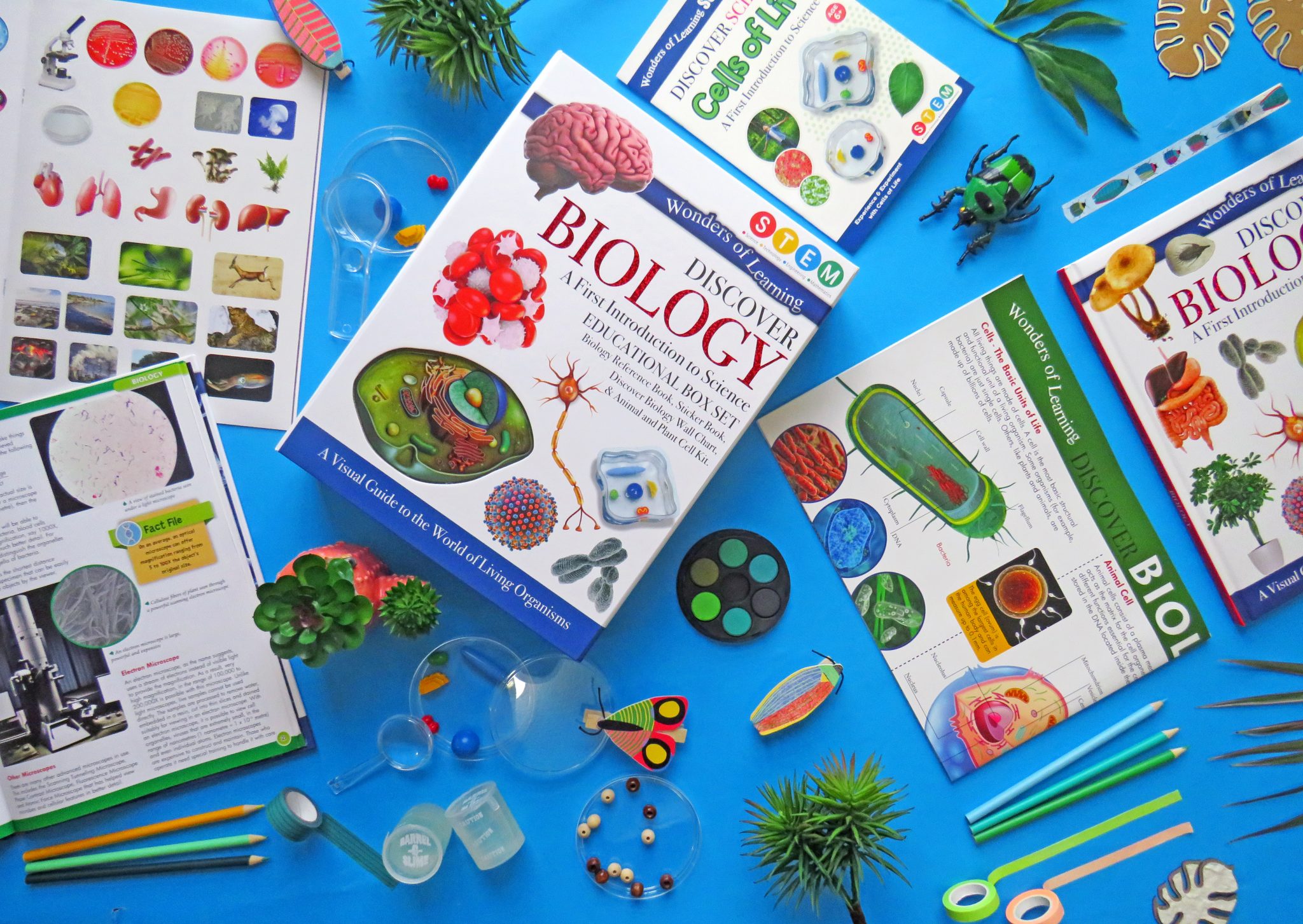 Wonders of Learning Box Set – Discover Biology – Headstart