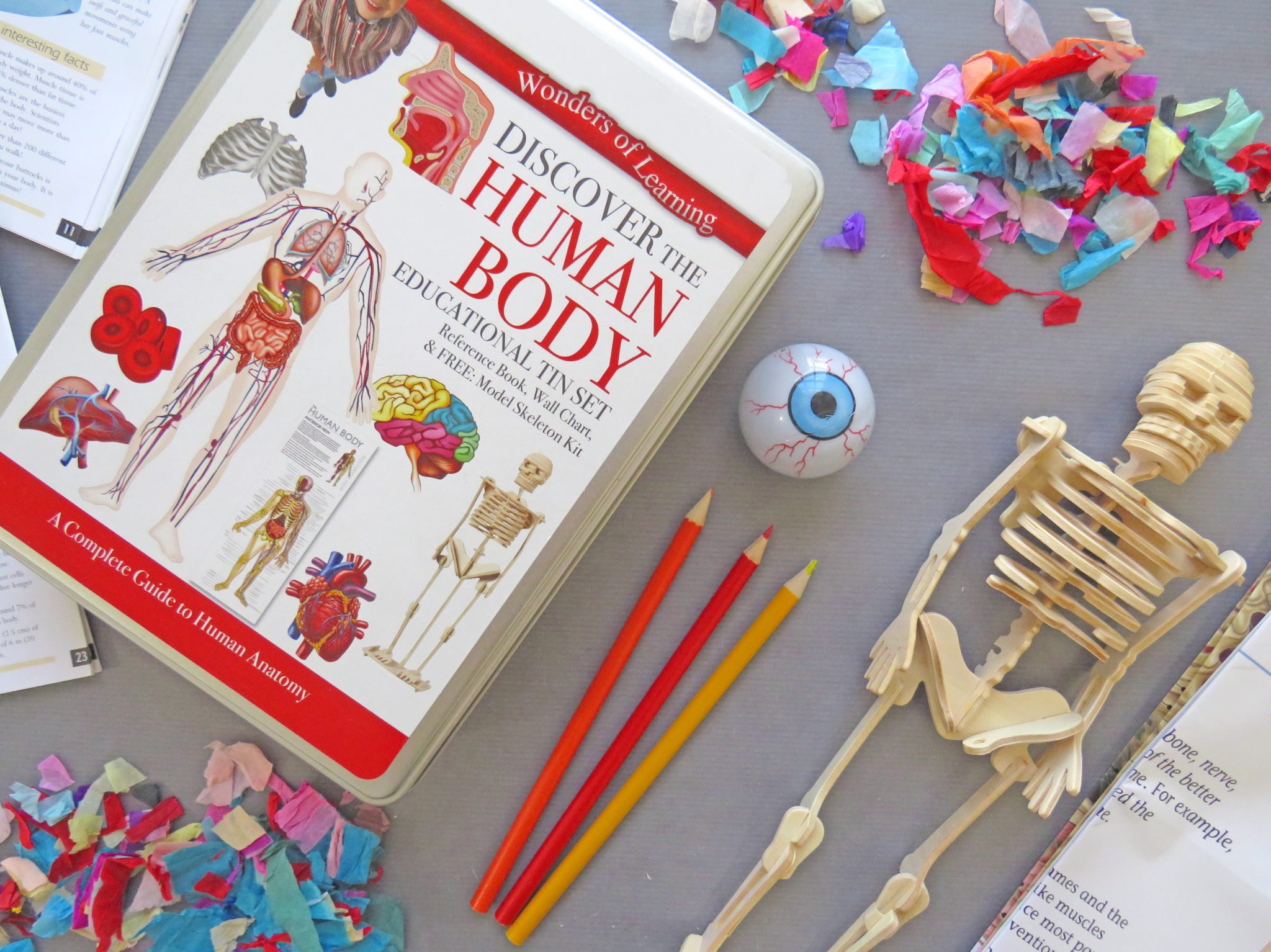 Wonders of Learning – Discover The Human Body Educational Tin Set ...